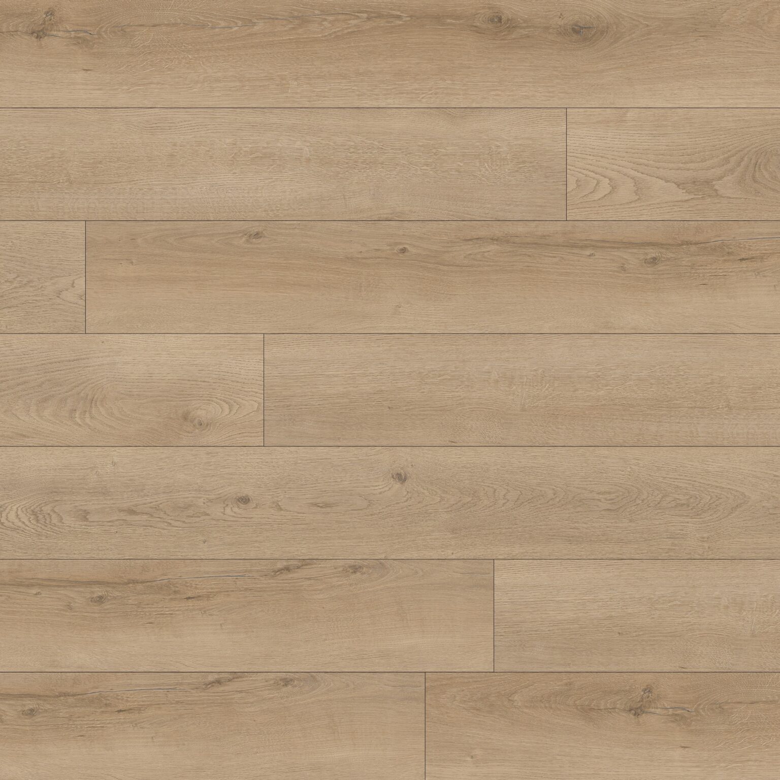 SPC 16 - Project Floors Concept
