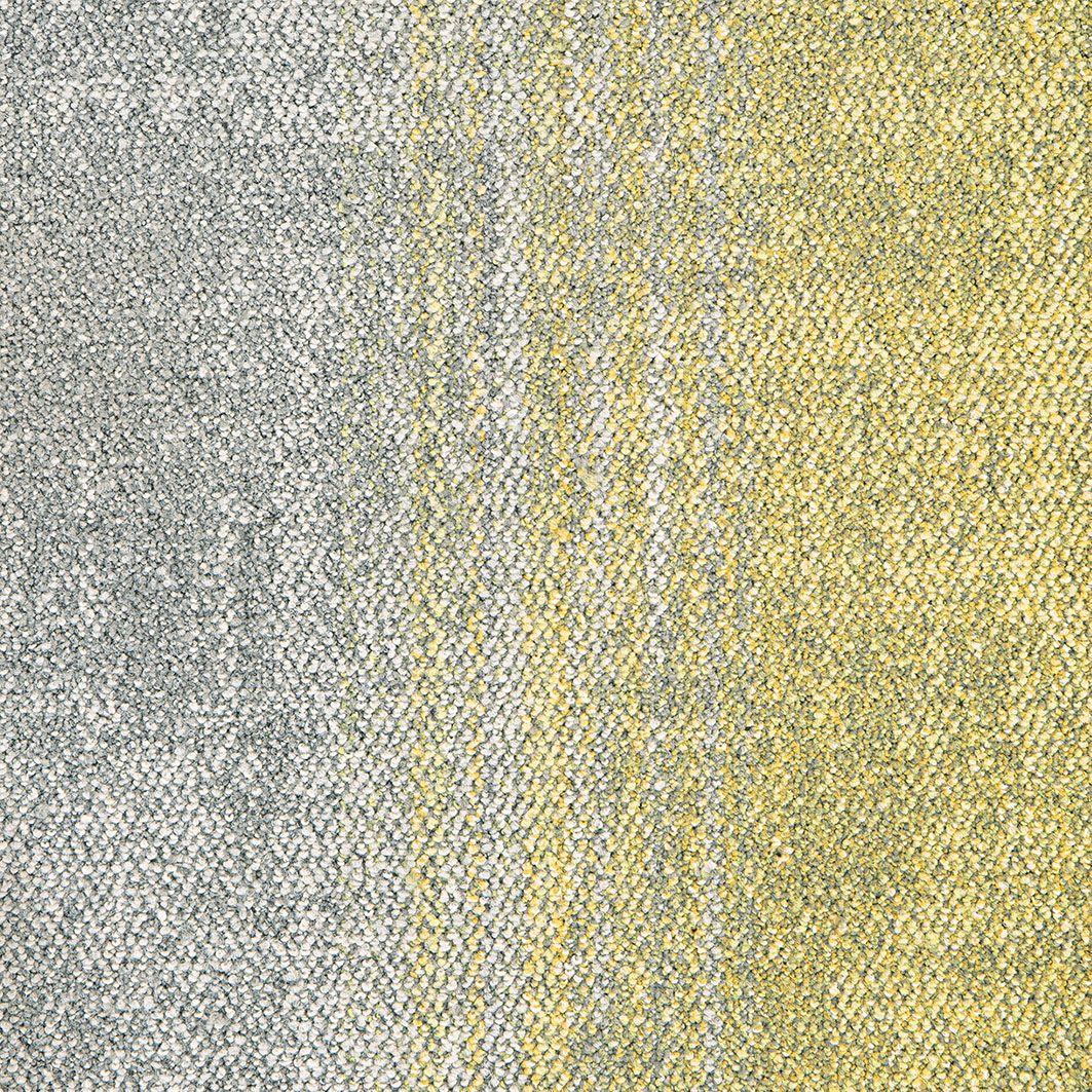 Fluid 2 - Project Floors Concept